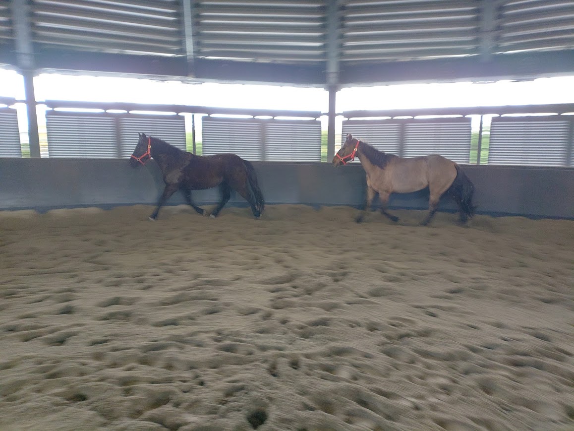 HOME - 特定非営利活動法人ピスカリ